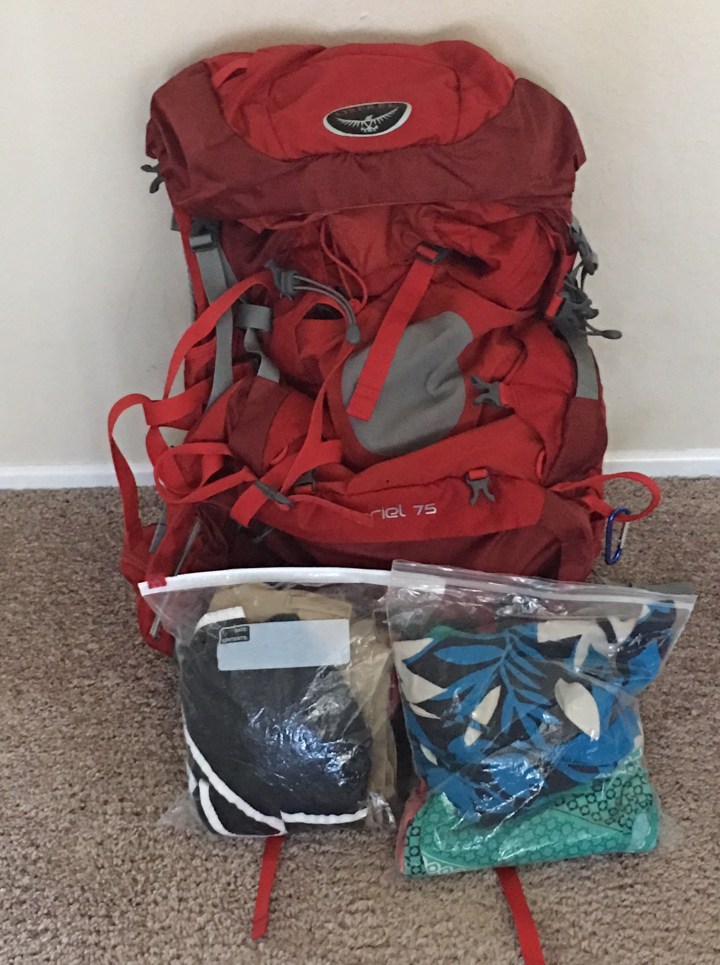 Cheaper Alternative to Packing Cubes: for Petite Women Travelers ...